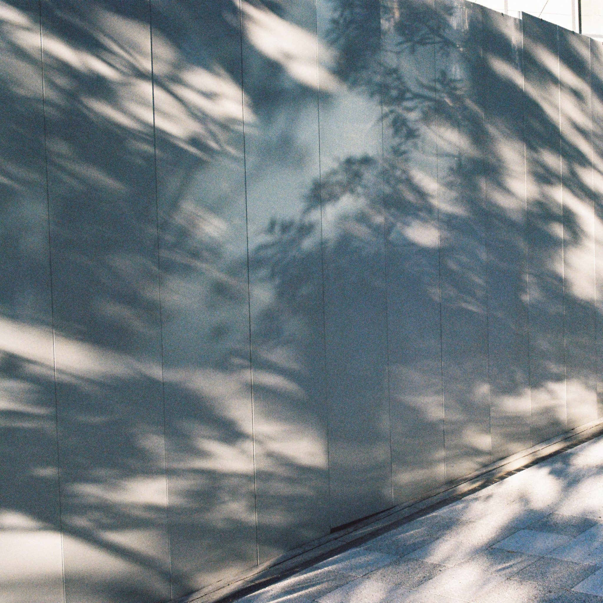 【インタビュー】ミツメ 『Ⅵ』 |バンドの新しい可能性を開く - FNMNL (フェノメナル)