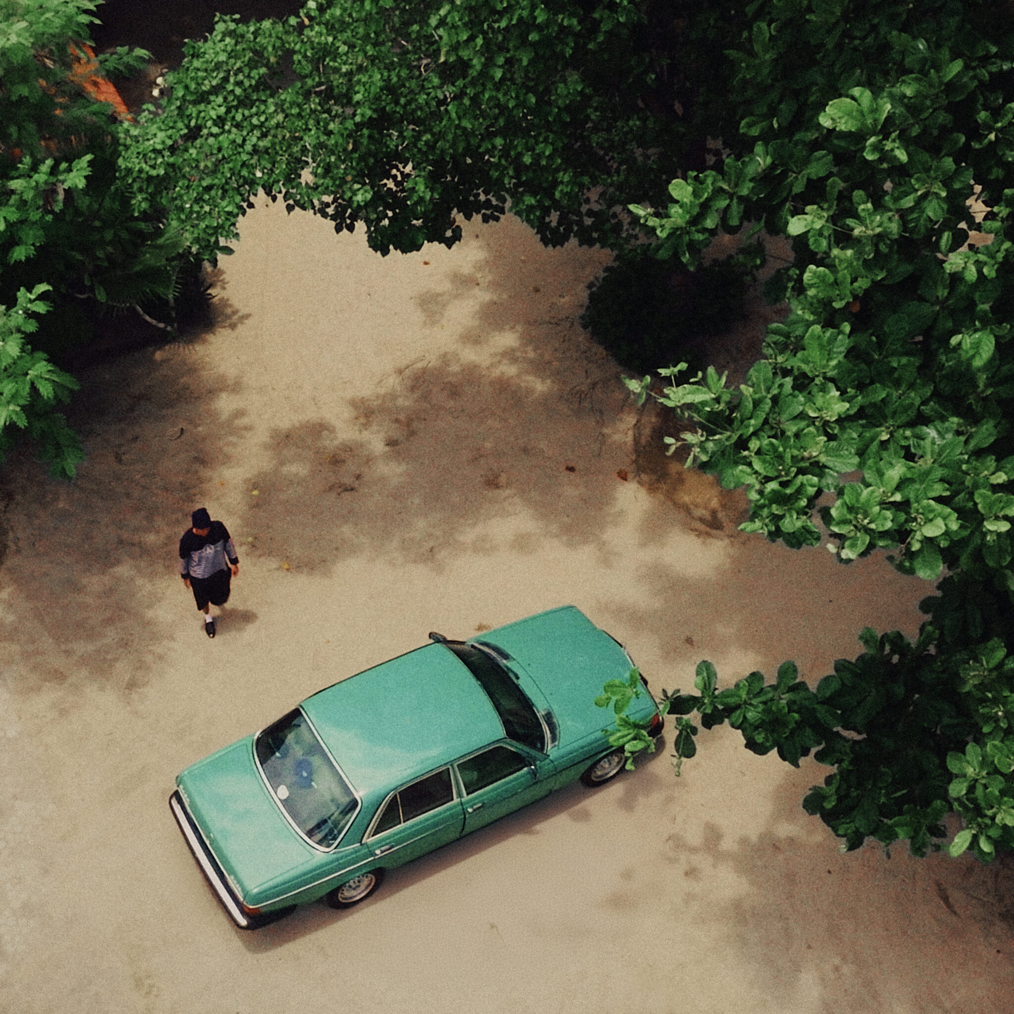 Yo-Seaが新曲"Won't ever"をリリース - FNMNL (フェノメナル)